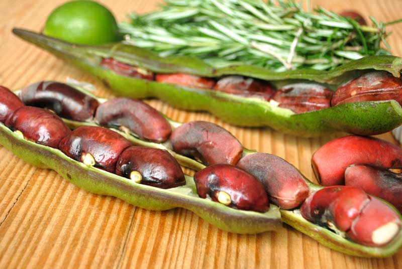 Dip de Chachafruto o Balú - Olga Sofia Perez