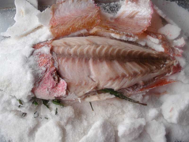 Pargo horneado en sal - Olga Sofia Perez