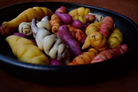 Asado de tubérculos andinos - Olga Sofia Perez